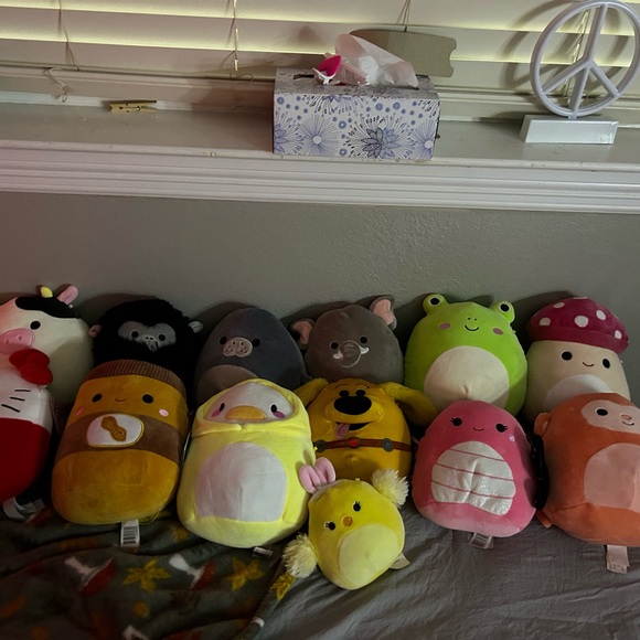 Kellytoy | Toys | Im Selling My Squishmallows Halloween Bundle A Bigger ...